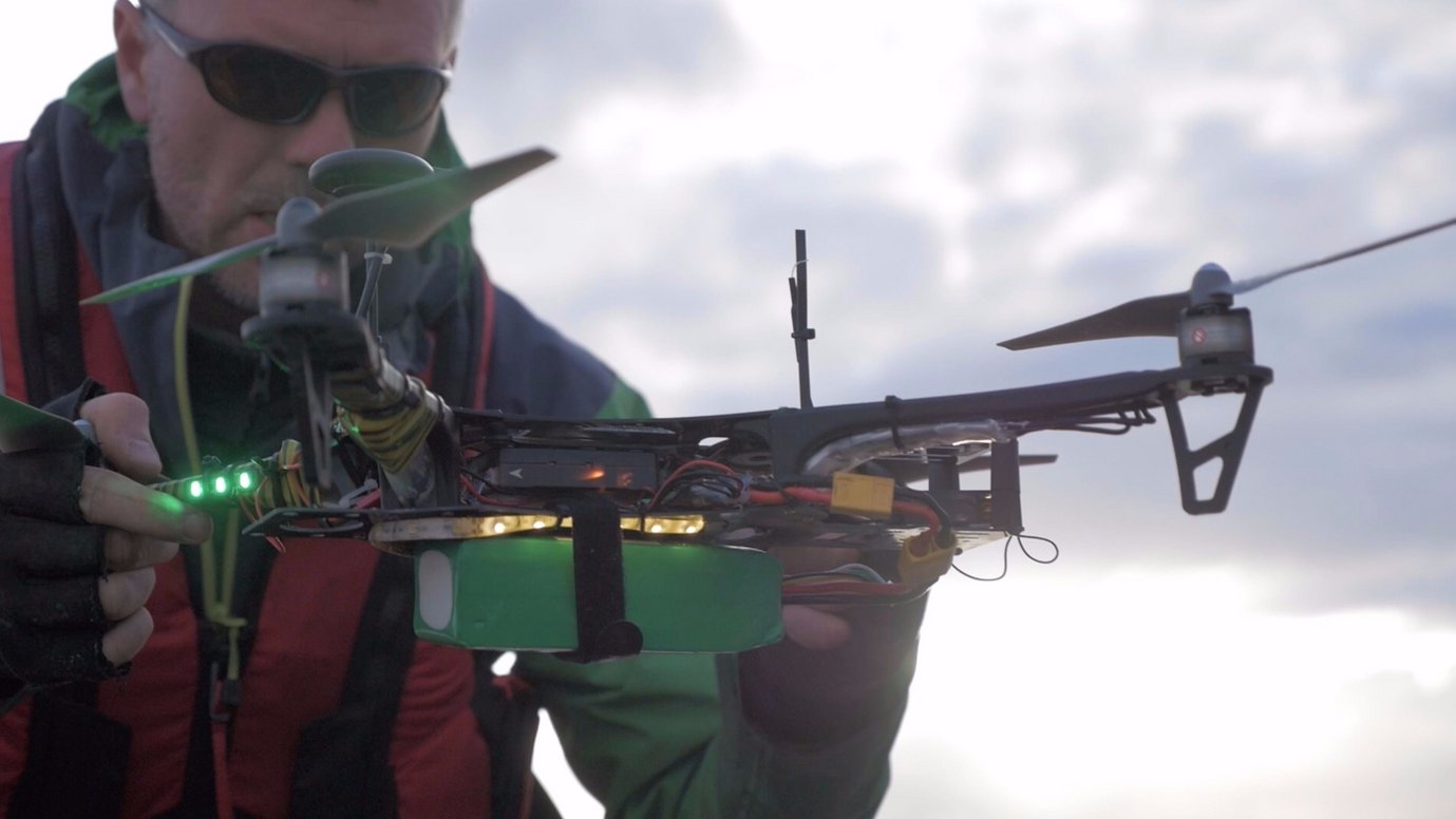 The finding lights | Contagious