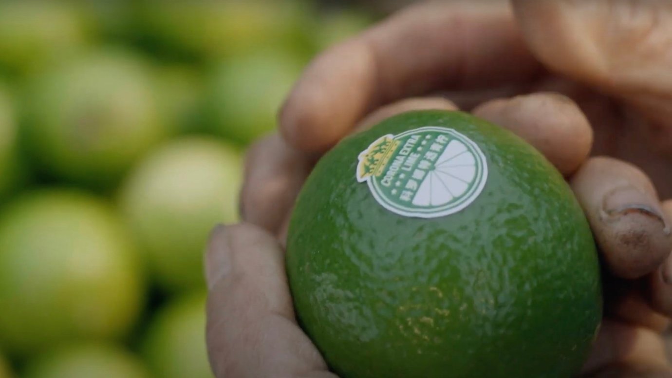 Insight & Strategy: Corona Extra Lime | Contagious