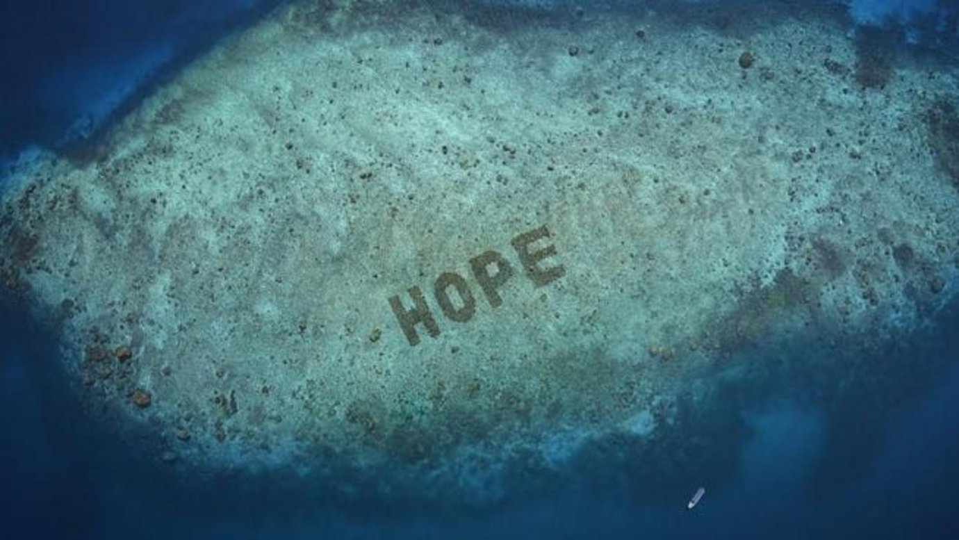 Sheba: Hope Grows | Contagious