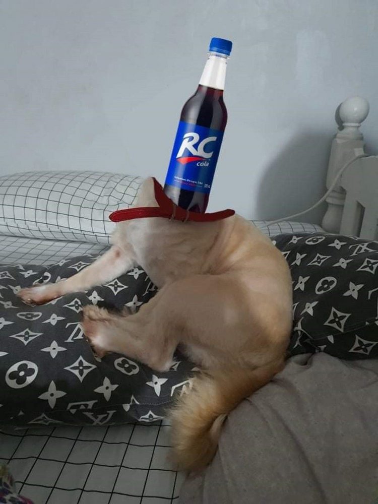 The strategy behind RC Cola's Basta campaign in the Philippines ...